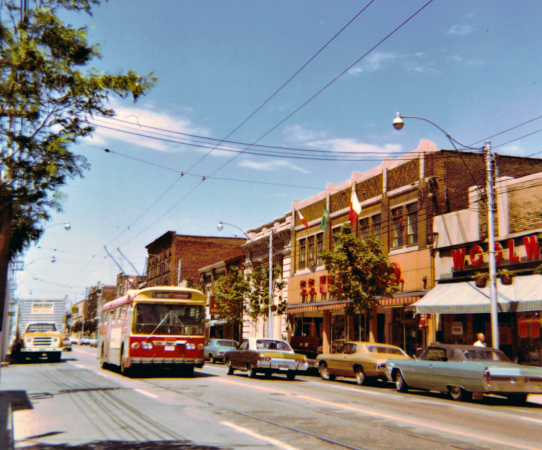 The Junction BIA 50th Anniversary | THE JUNCTION BIA